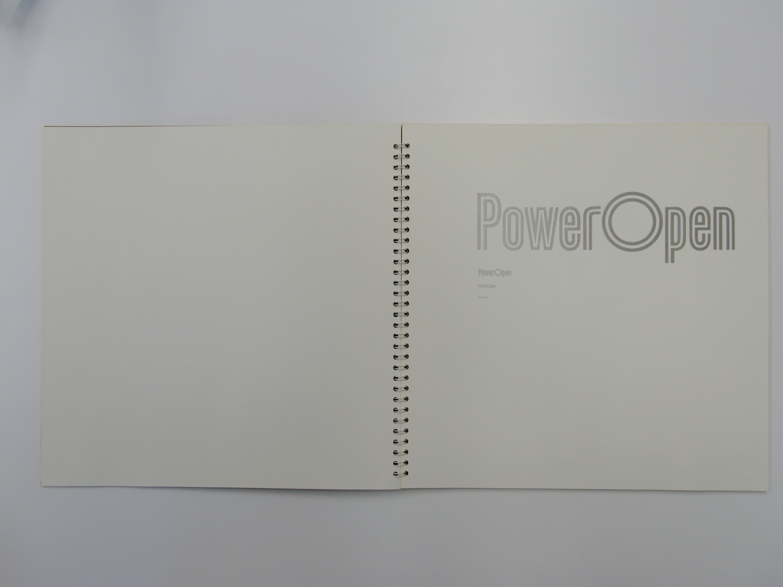 PowerPC and PowerOpen | Paul Rand: Modernist Master 1914-1996